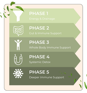 Advanced TRS & Fulvic | Ultimate Toxin Removal by Coseva | TRS Detox